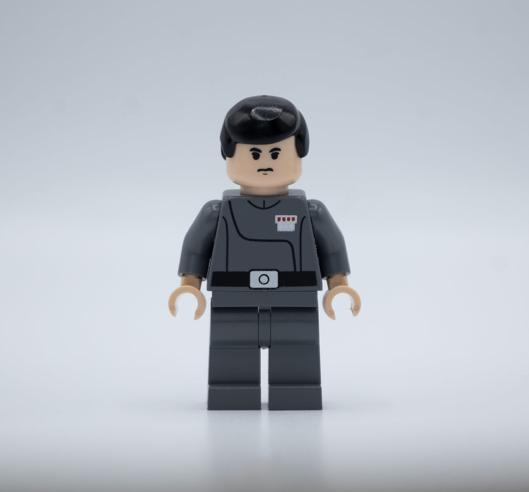 Panda Brick Customs - Custom printed minifigures and accessories
